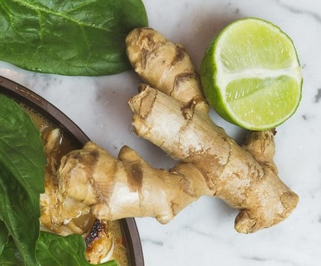 Ginger: the rock star of spices. – REVACTIN™